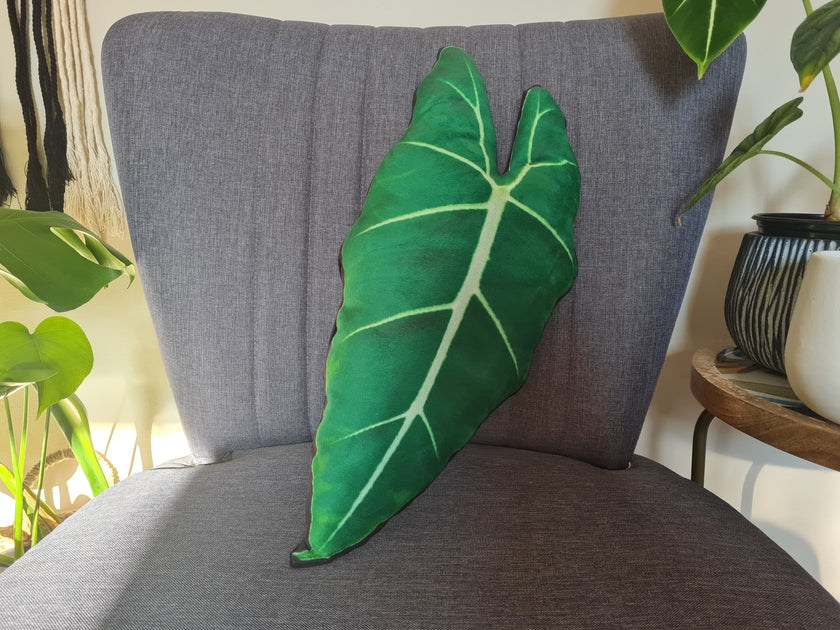 Products – the goods online